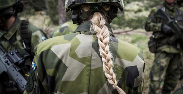 Multiple layers of resistance explain the Swedish Armed Forces’ slow ...